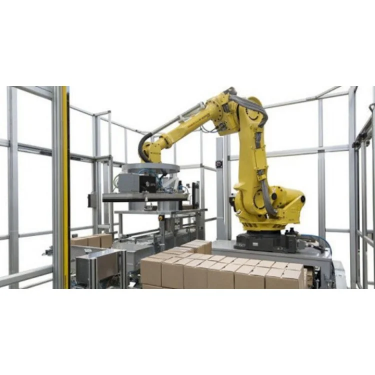 Robotic Palletizing And Packing Applications Srdr01