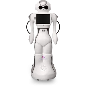 Reception Robots