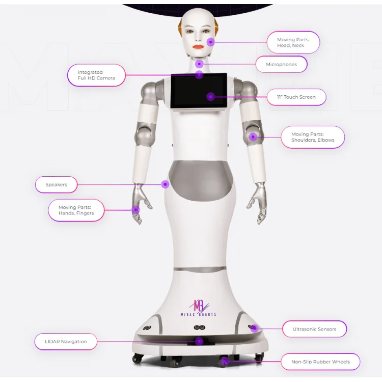 MAXINE Service Robot - MAXINE