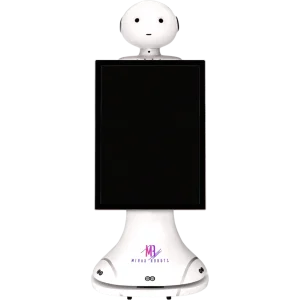Reception Robots