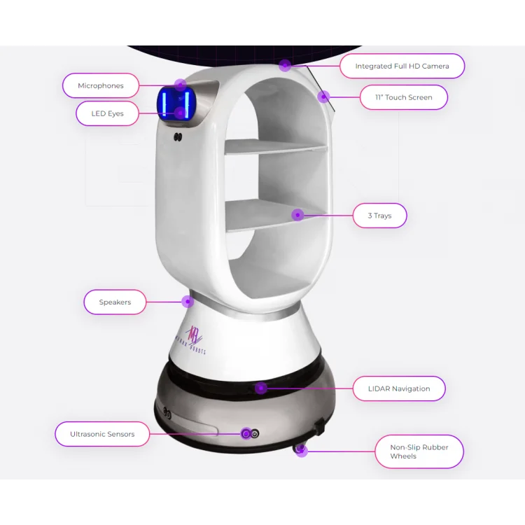 BEN Restaurant Robot - BEN