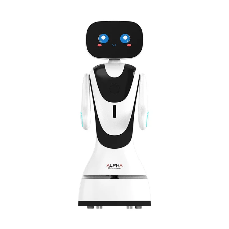 Timo reception robot, programmable tour guide robot - Timo