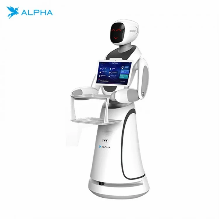Alpha Robotics Amy Humanoid Robot - SA-10-8