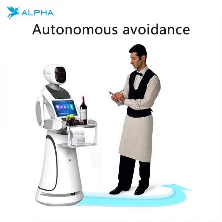 Alpha Robotics Amy Humanoid Robot - SA-10-8