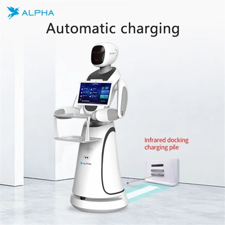 Alpha Robotics Amy Humanoid Robot - SA-10-8