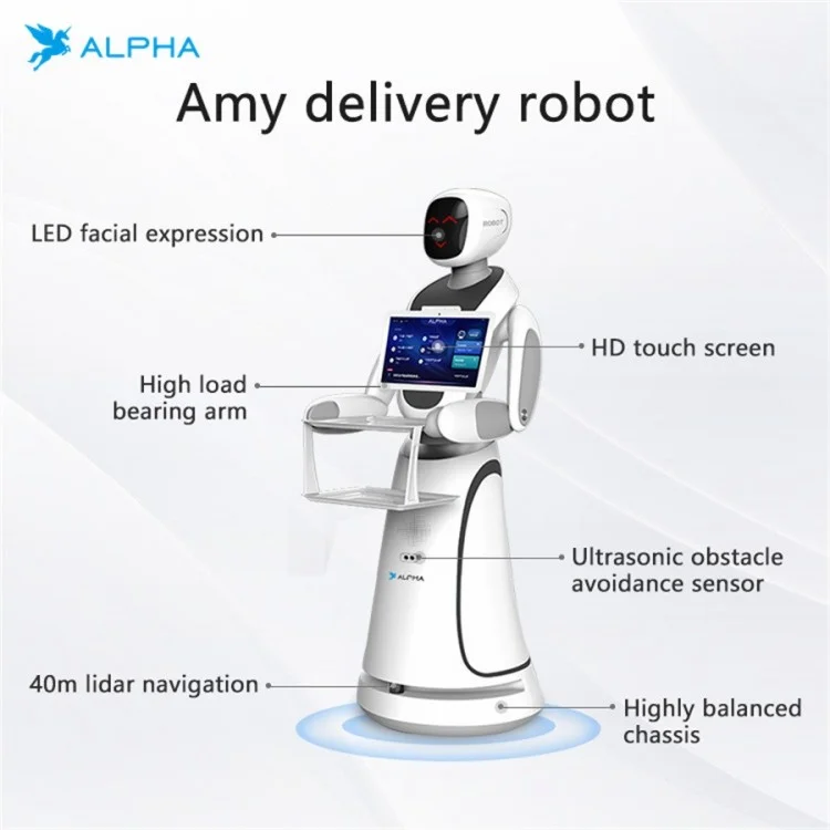 Alpha Robotics Amy Humanoid Robot - SA-10-8