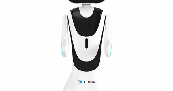 Alpha Arm Movable Timo Smart Robot - YT-1-13B