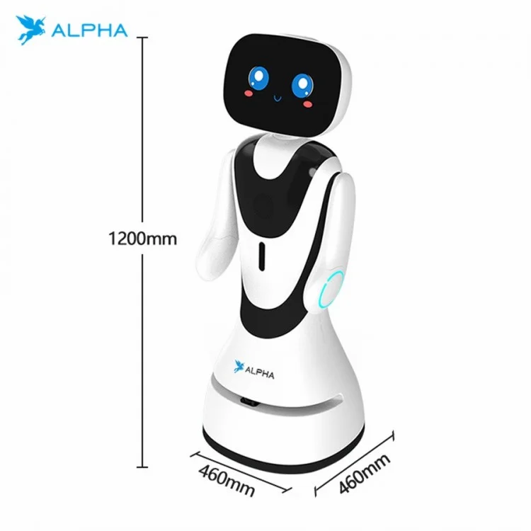 Alpha Arm Movable Timo Smart Robot - YT-1-13B